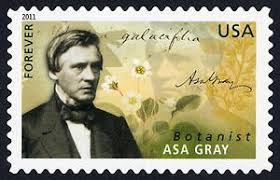 The Extraordinary Life of Asa Gray, 1810-1888 – Library and Archives
